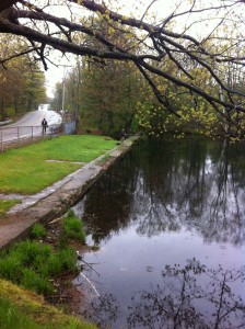 Trout fishing on Wilcox Pond, Biddeford, Maine (May 12, 2013) | The ...
