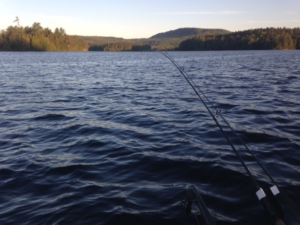 Brook trout and landlocked Atlantic salmon fishing on Pierce Pond ...